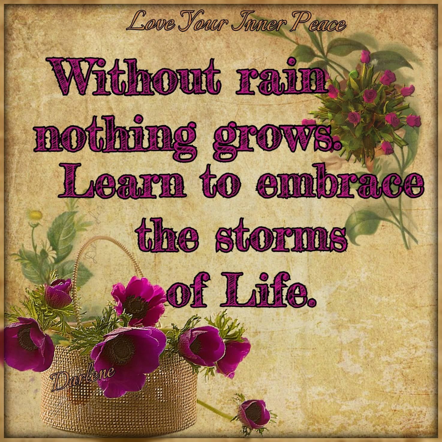 Without Rain, Nothing Grows. Learn To Embrace The Storms Of Life ...