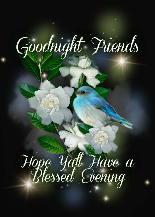 Hope Y'all Have A Blessed Evening Pictures, Photos, and Images for ...