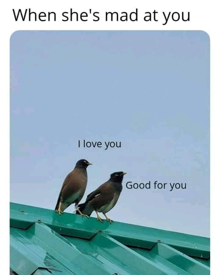 When She's Mad At You Pictures, Photos, and Images for Facebook, Tumblr ...