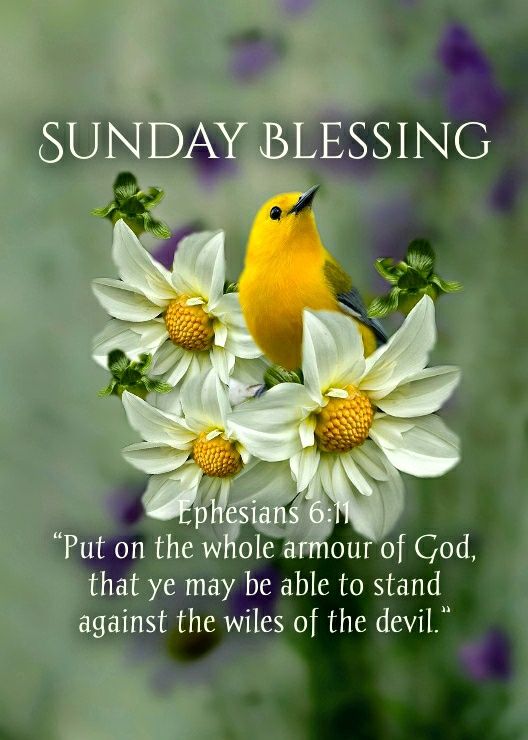 Yellow Bird Sunday Blessing Pictures, Photos, and Images for Facebook ...