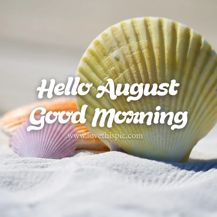 Shells On Beach - Hello August, Good Morning Pictures, Photos, and ...