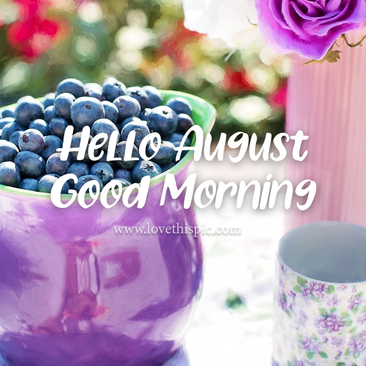 Blueberry Pitcher - Hello August, Good Morning Pictures, Photos, and ...