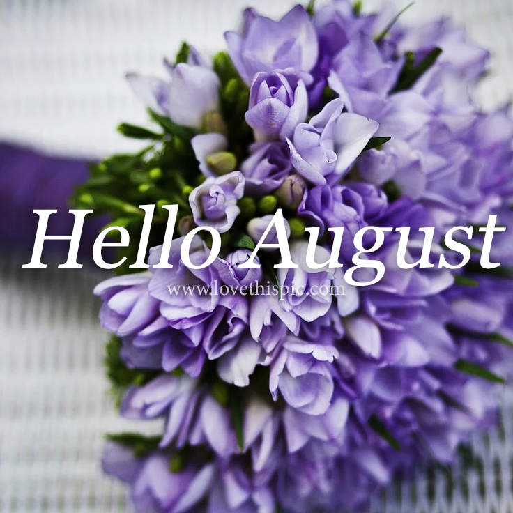 Bouquet Of Lavender Flowers - Hello August Pictures, Photos, and Images ...
