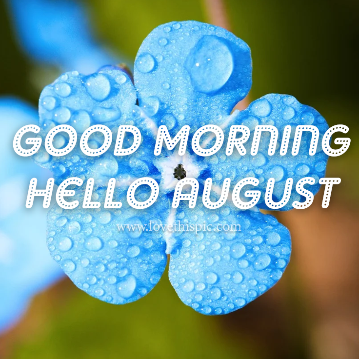 Blue Flower Dew - Good Morning, Hello August Pictures, Photos, and ...