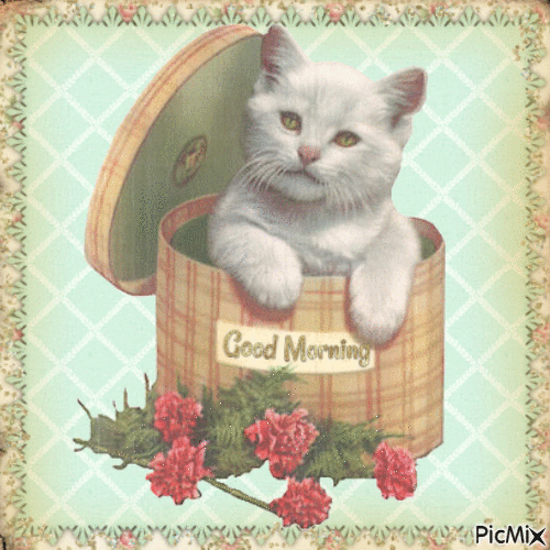 Vintage Good Morning Gif With Cat Pictures, Photos, and Images for ...