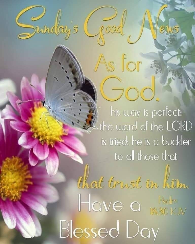 Sunday's Good News Pictures, Photos, and Images for Facebook, Tumblr ...