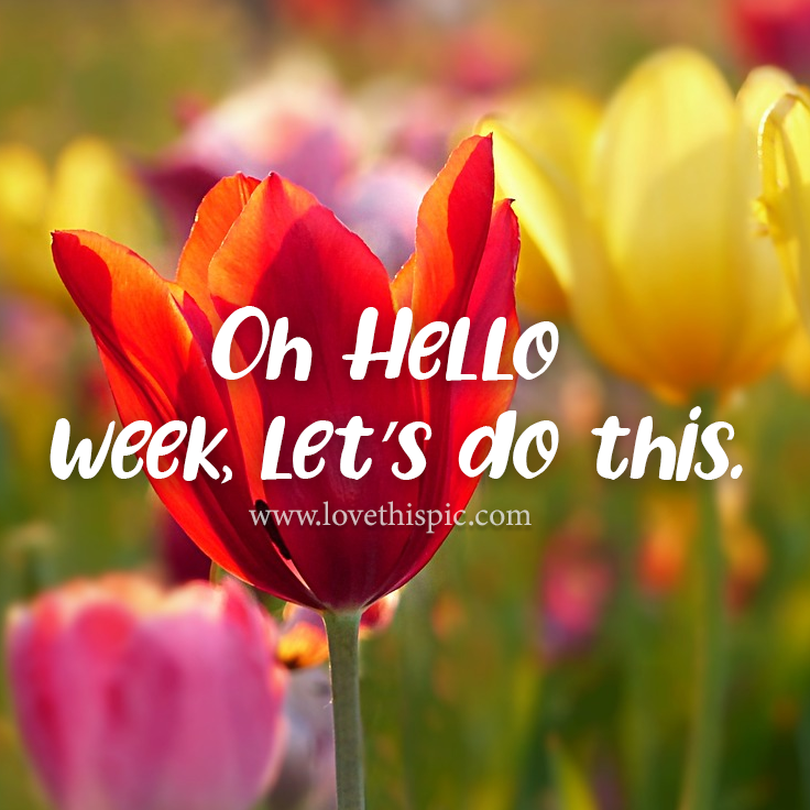 Oh Hello Week, Let’s Do This. Pictures, Photos, and Images for Facebook ...
