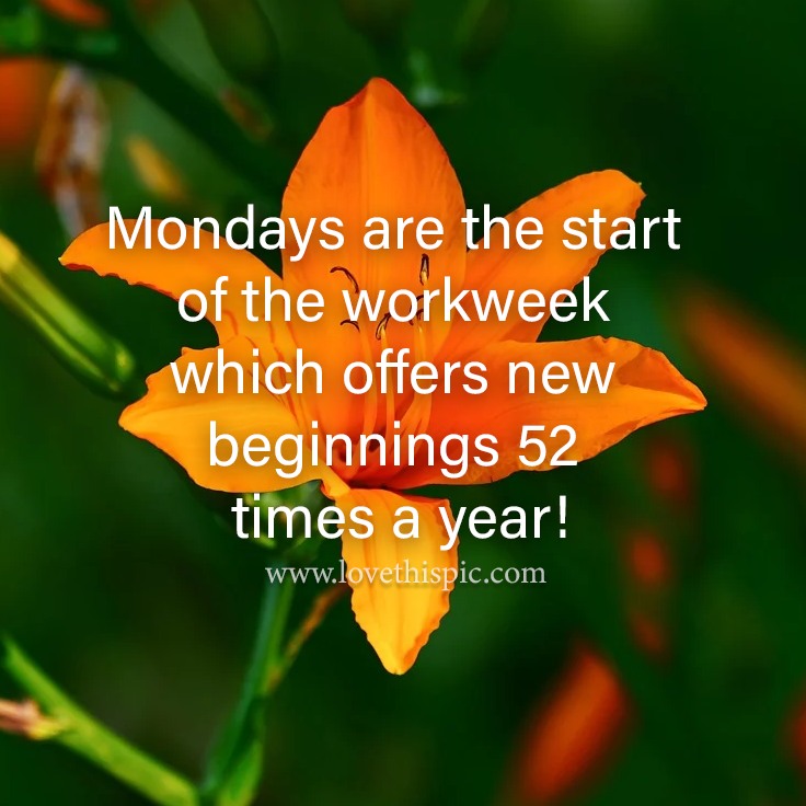 Mondays Are The Start Of The Workweek Which Offers New Beginnings 52 ...