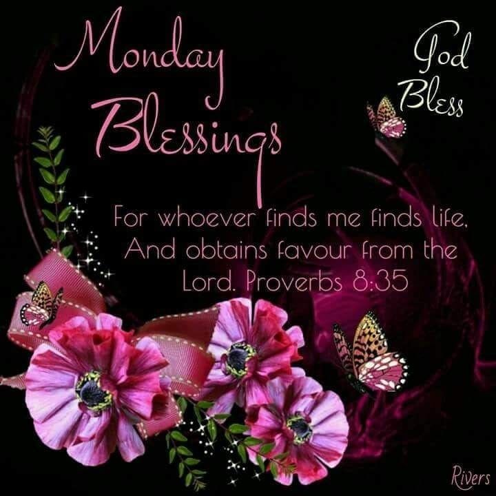 Proverbs 8:35 Monday Blessings Pictures, Photos, and Images for ...