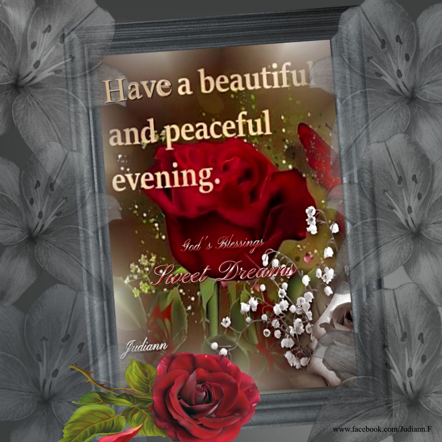 Frame And Red Roses - Have A Beautiful And Peaceful Evening Pictures ...