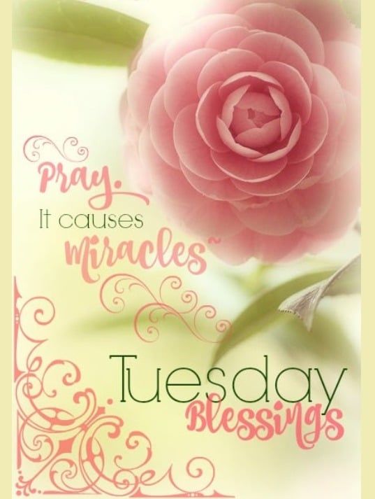 Pray It Causes Miracles - Tuesday Blessings Pictures, Photos, and ...