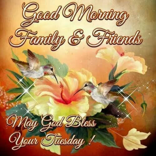 Sweet Hummingbirds - Good Morning Family & Friends. May God Bless Your ...