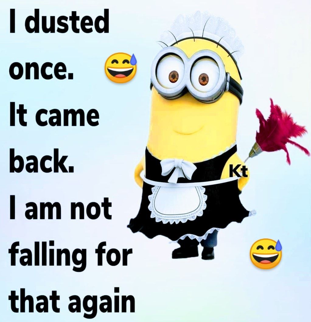 I Dusted Once. It Came Back. I Am Not Falling For That Again Pictures ...