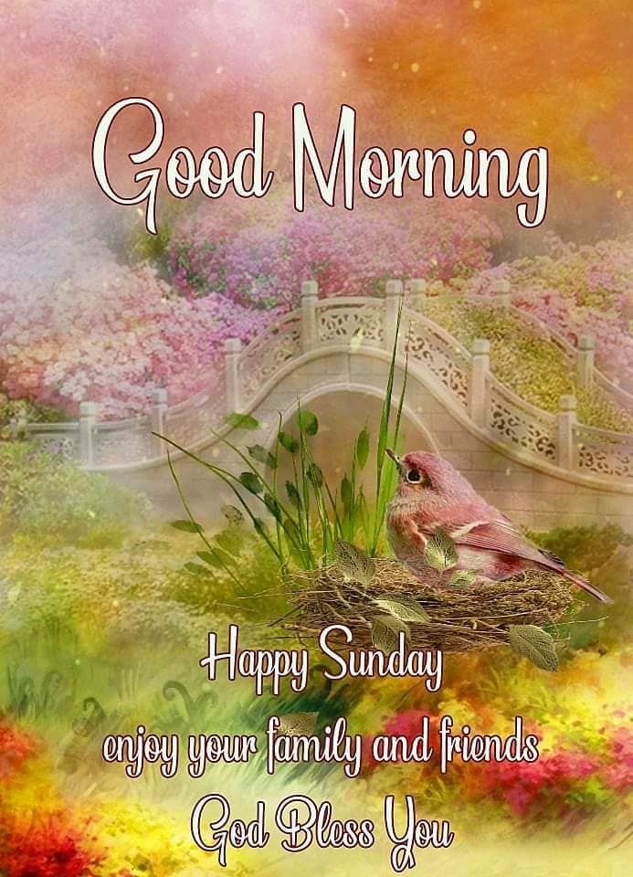 Enjoy Your Sunday Images