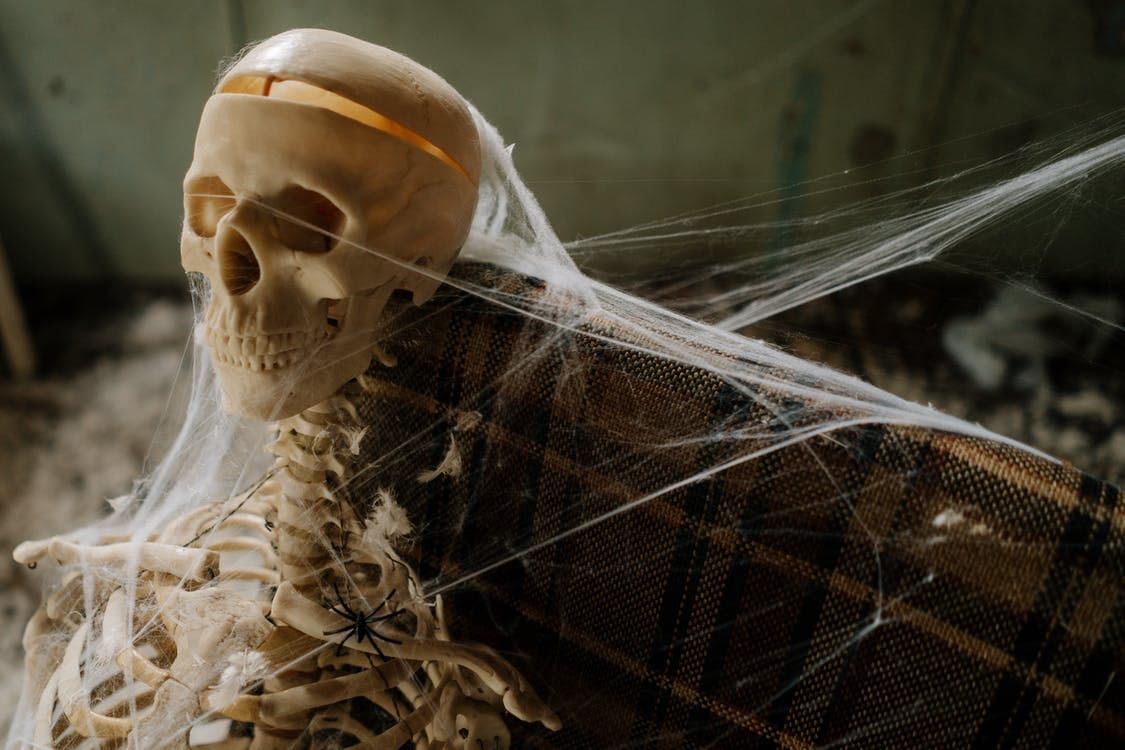 Skeleton Covered In Spider Webs Pictures, Photos, and Images for ...