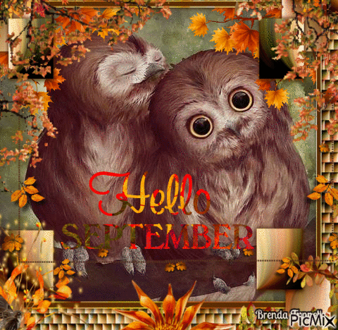 September Owls Pictures, Photos, and Images for Facebook, Tumblr ...