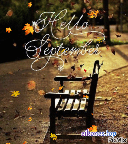Fall Leaves & Bench - Hello September Pictures, Photos, and Images for ...