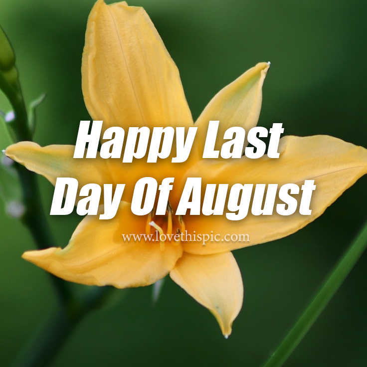Daylily Happy Last Day Of August Pictures, Photos, and Images for ...