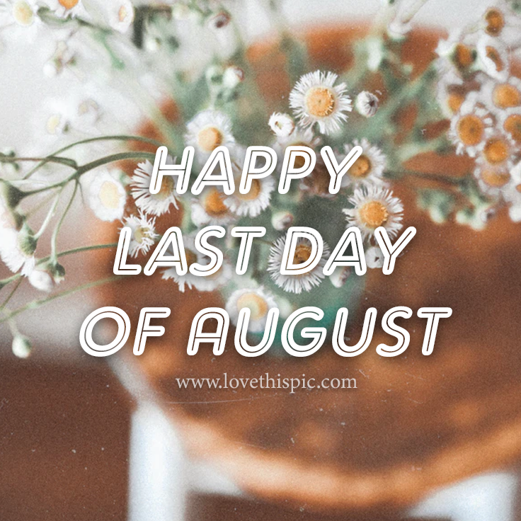 Daisies On Table - Happy Last Day Of August Pictures, Photos, and ...