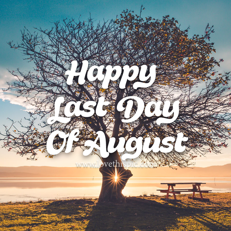 Sunlight Through Tree - Happy Last Day Of August Pictures, Photos, and ...