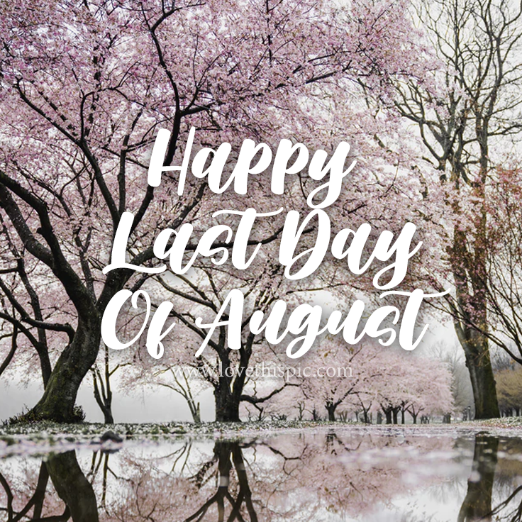 Blooming Cherry Blossoms Trees - Happy Last Day Of August Pictures ...