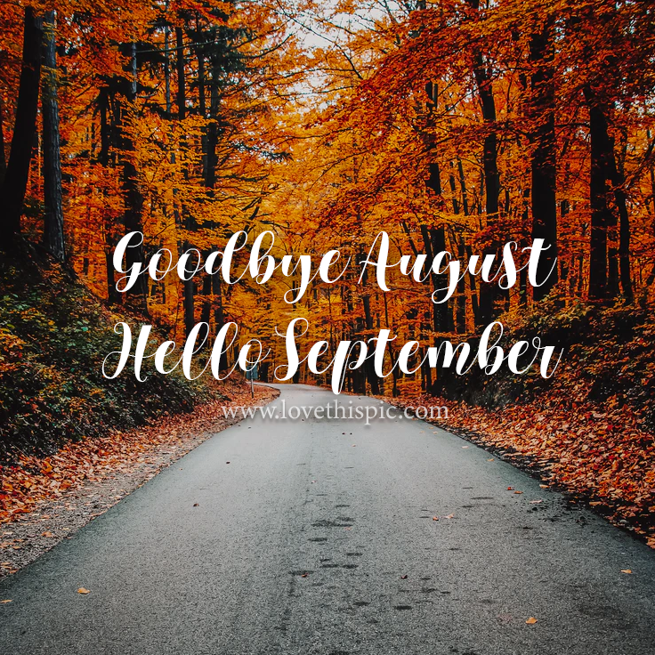 Autumn Forest Road - Goodbye August, Hello September Pictures, Photos ...