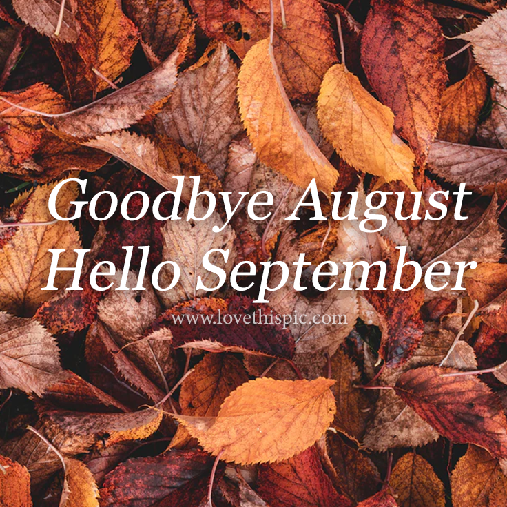 Orange & Brown Leaves - Goodbye August, Hello September Pictures ...