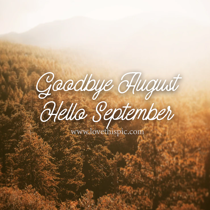 Aerial View Of Autumn Forest - Goodbye August, Hello September Pictures ...