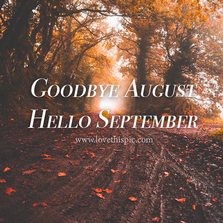 Road Of Fall Leaves - Goodbye August Hello September Pictures, Photos ...