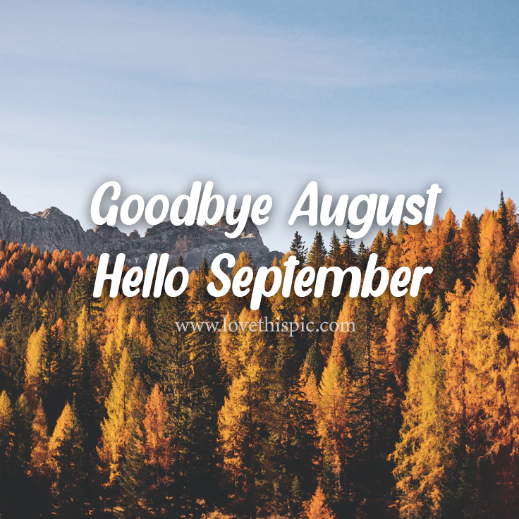 Brown & Orange Trees - Goodbye August Hello September Pictures, Photos ...