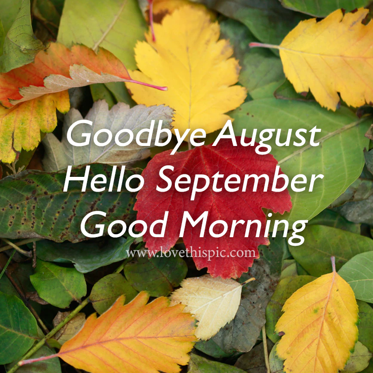 Colorful Leaves - Goodbye August, Hello September. Good Morning ...