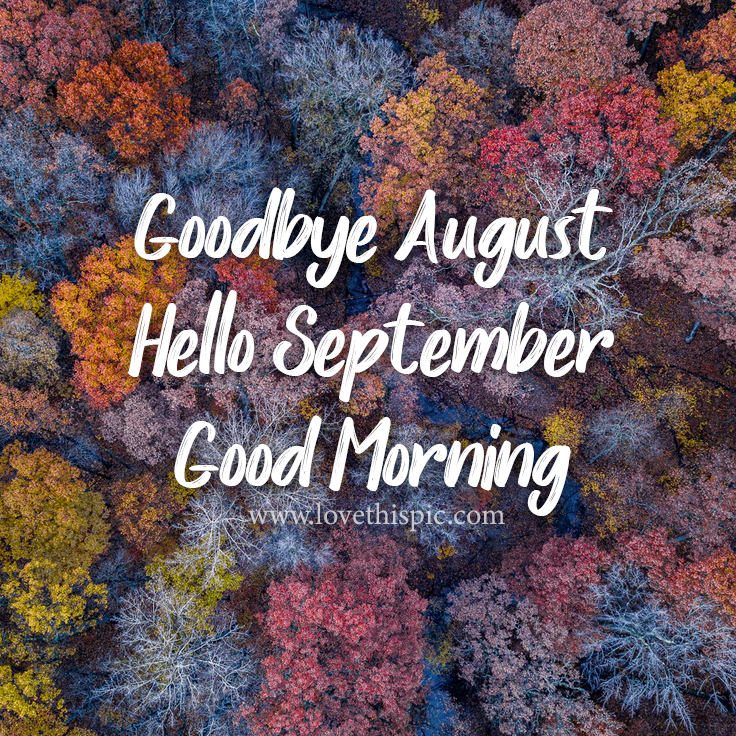 Fall Forest With Aerial View - Goodbye August, Hello September. Good ...