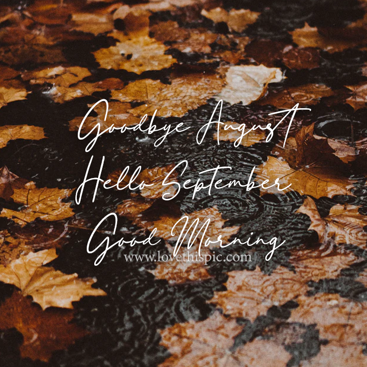 Maple Leaves In Water Ripples - Goodbye August, Hello September. Good ...