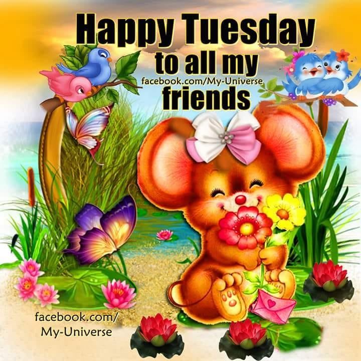 Happy Tuesday To All My Friends Pictures, Photos, and Images for ...