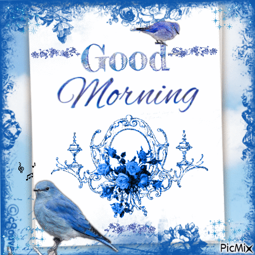 Blue Bird Good Morning Gif Pictures, Photos, and Images for Facebook ...
