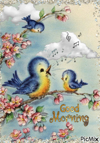 Singing Blue Birds Pictures, Photos, and Images for Facebook, Tumblr ...