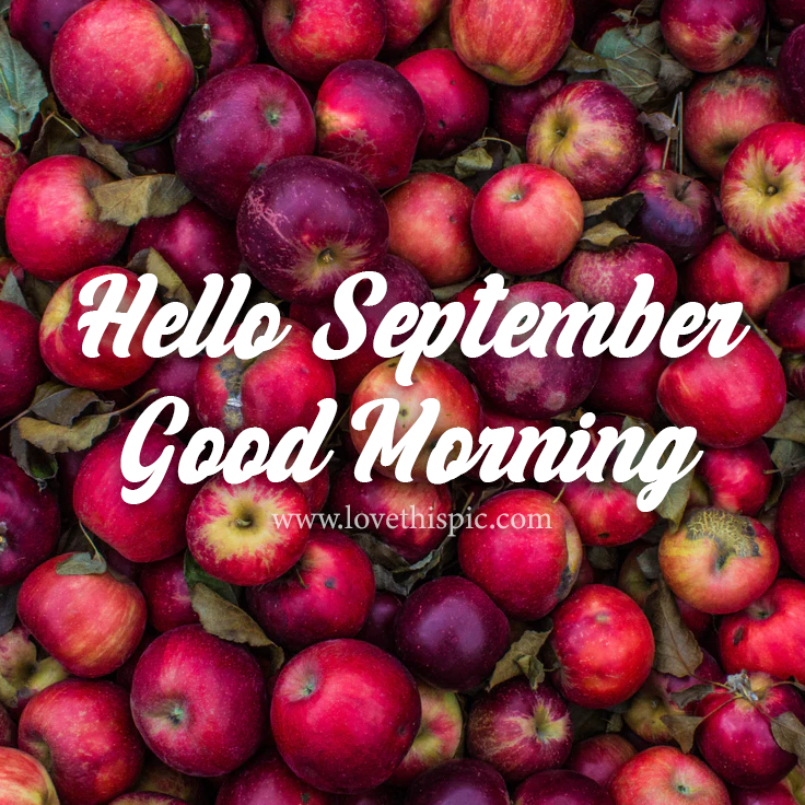 Red Apple - Hello September Good Morning Pictures, Photos, and Images ...