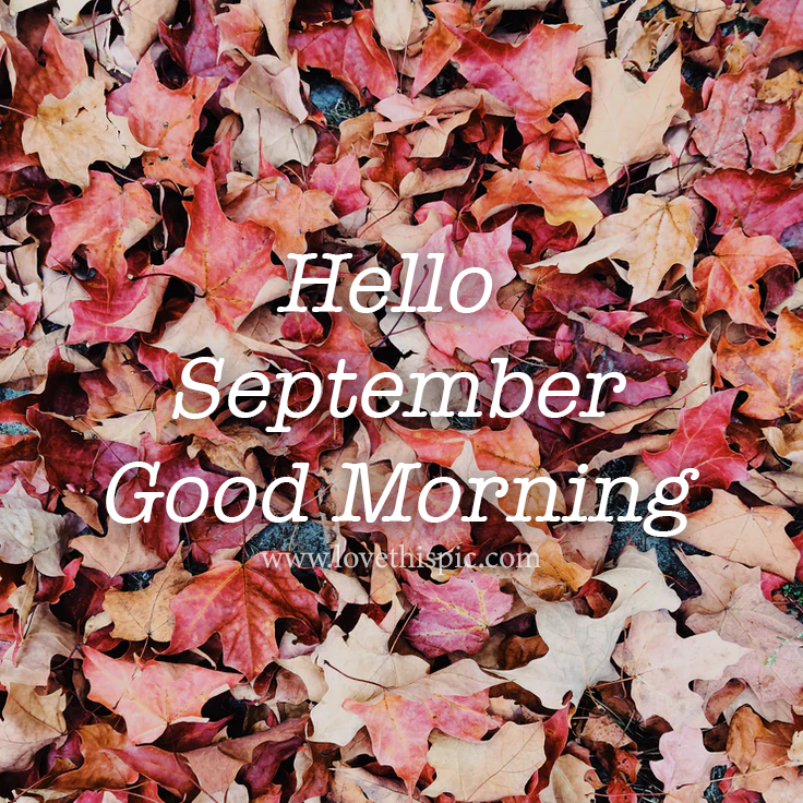 Dried Leaves - Hello September Good Morning Pictures, Photos, and ...