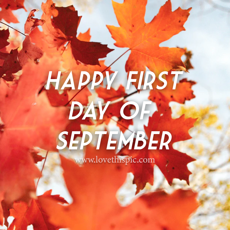 Brown And Orange Maple Leaves - Happy First Day Of September Pictures ...