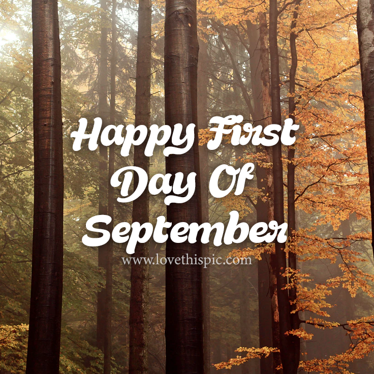 Autumn Forest - Hello First Day Of September Pictures, Photos, and ...