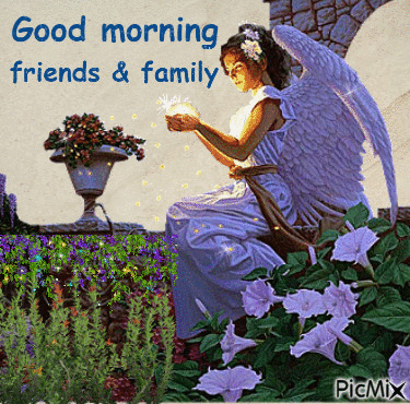 Good Morning Angel Gif For Friends & Family Pictures, Photos, and ...