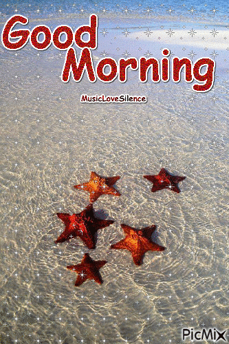 Animated Starfish Gif