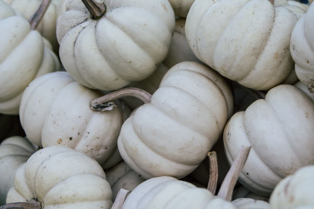 Bundle Of White Pumpkins Pictures, Photos, and Images for Facebook ...