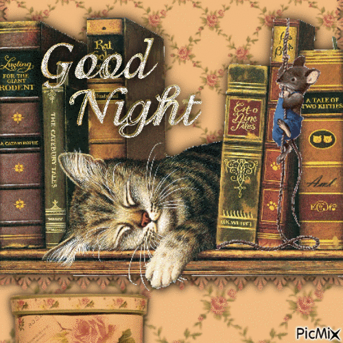 Cat Sleeping Between Books - Good Night Gif Pictures, Photos, and ...