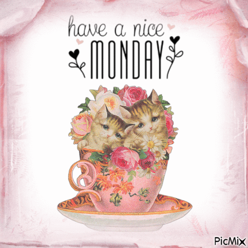 Kitties In Tea Cup - Have A Nice Monday Pictures, Photos, and Images ...