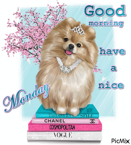 Adorable Dog - Good Morning, Have A Nice Monday Pictures, Photos, and ...
