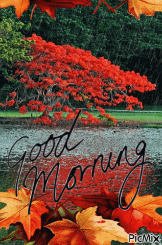 Rainy Fall Good Morning Gif Pictures, Photos, and Images for Facebook ...