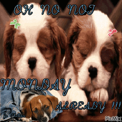 Oh No No! Monday Already Pictures, Photos, and Images for Facebook ...