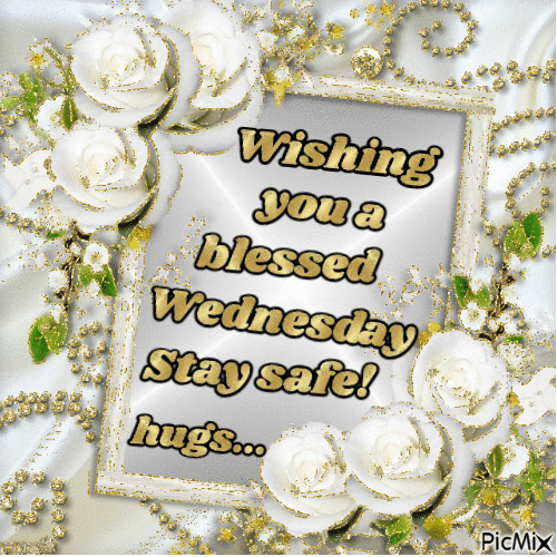 White Rose Wednesday Blessing & Wish Pictures, Photos, and Images for ...