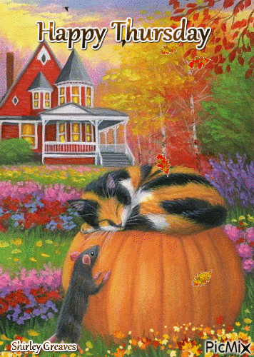 Cat Sleeping On Pumpkin - Happy Thursday Pictures, Photos, and Images ...